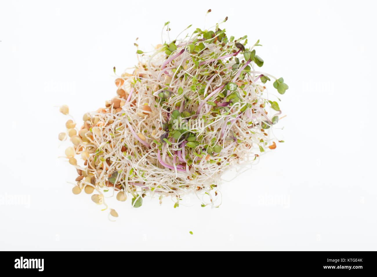 The healthy diet. Fresh sprouts isolated on white background Stock ...