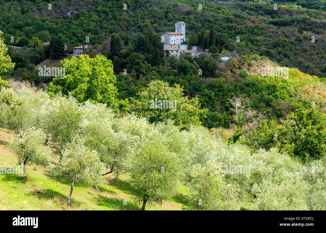 Colto hi-res stock photography and images - Alamy