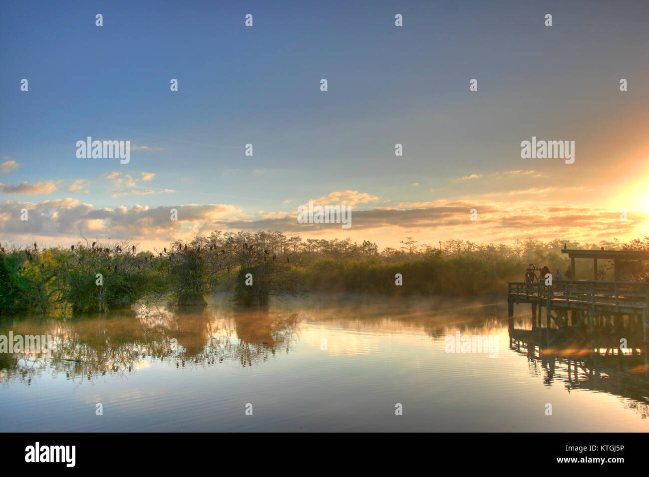 Anhinga trail at royal palm hi-res stock photography and images - Alamy
