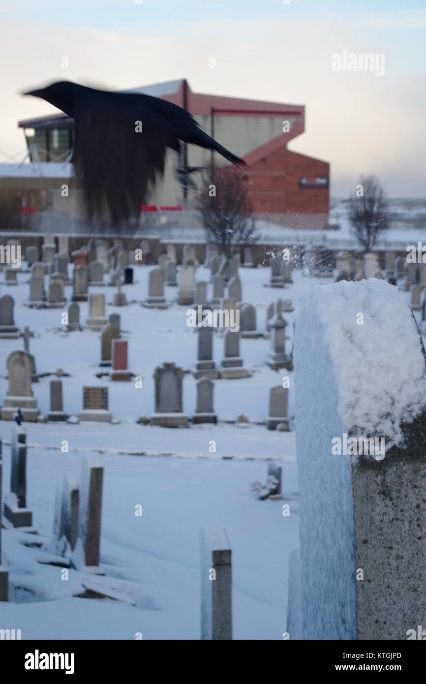 Trinity Cemetery after Snow Fall, Errol Street, Aberdeen, North East ...