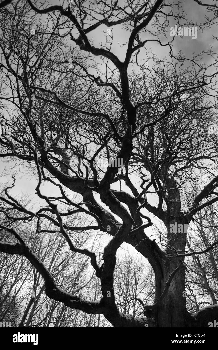 Fractls hi-res stock photography and images - Alamy