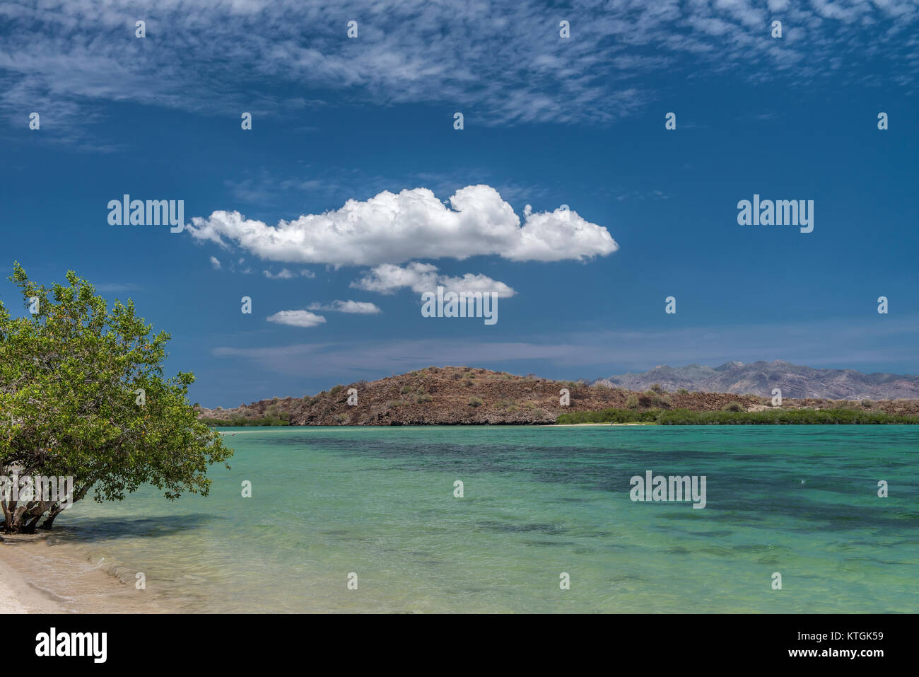 landscapes of bahia concepcion baja california sur mexico Stock Photo ...