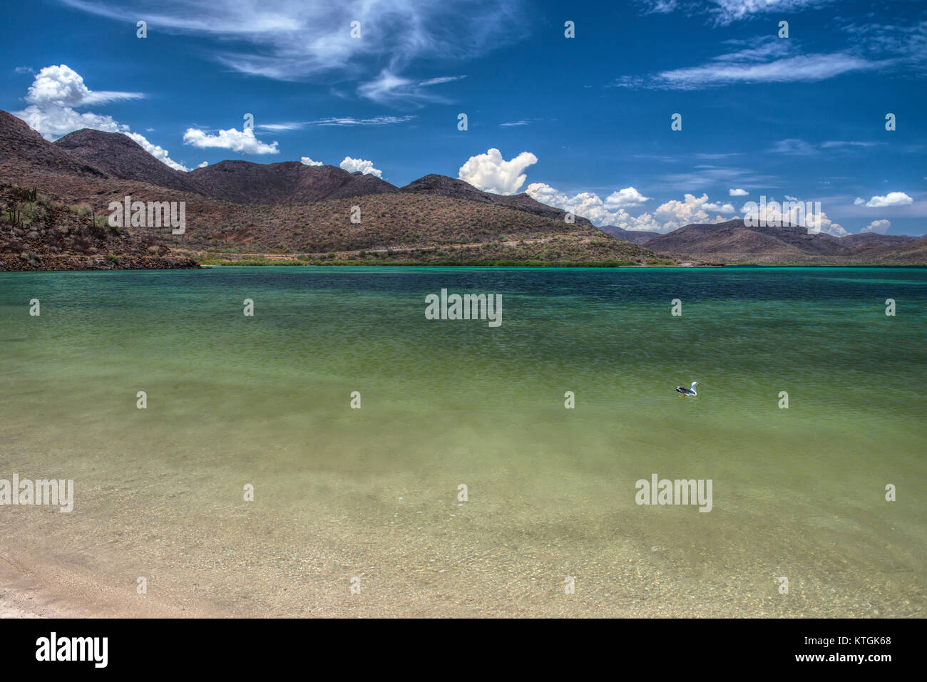 landscapes of bahia concepcion baja california sur mexico Stock Photo ...