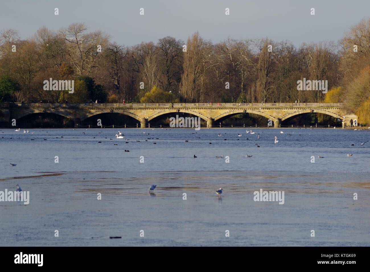 The Serpentine Bridge, Long Water, Hyde Park in the Golden Light of ...