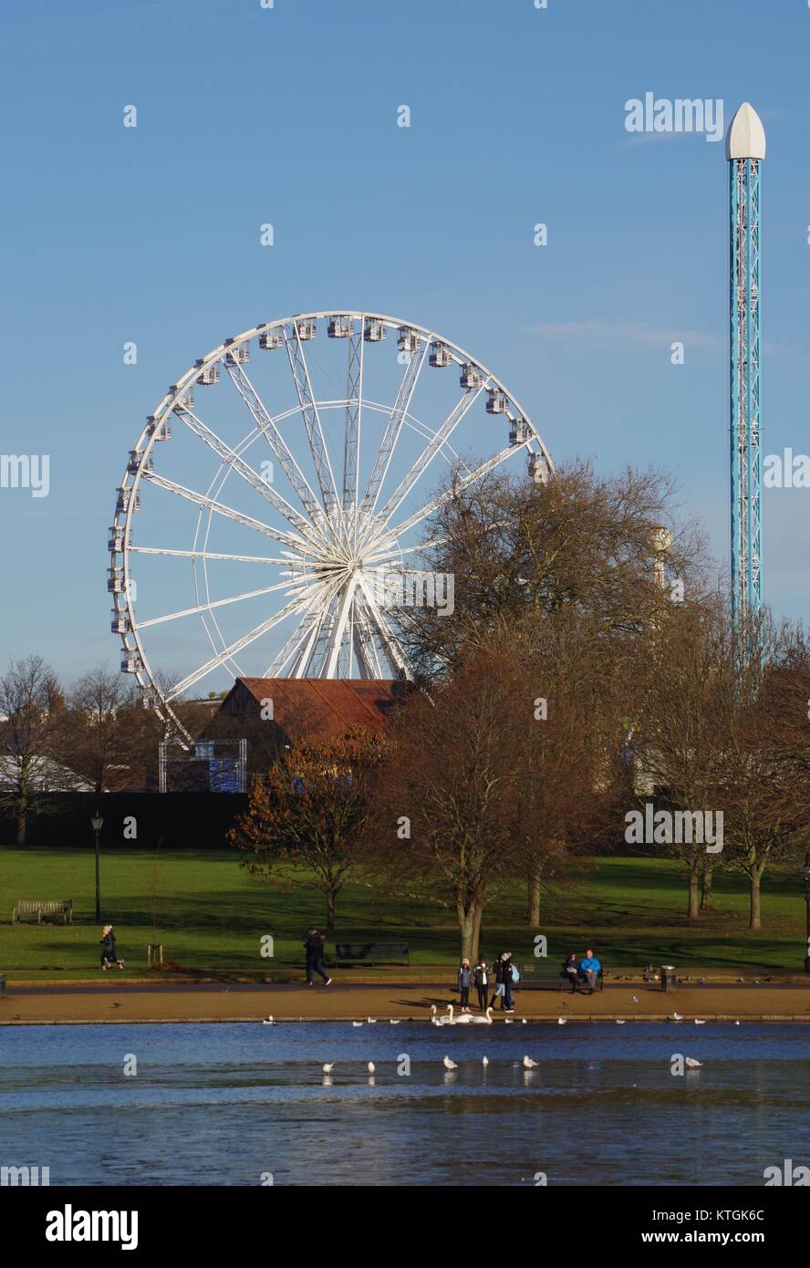 The Giant Observation Wheel, Ferris Wheel. Looking over The Serpentine ...