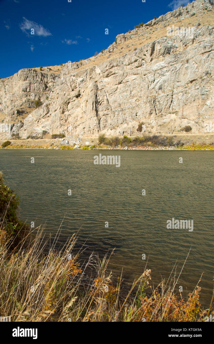 Trident peregrine birding trail hi-res stock photography and images - Alamy