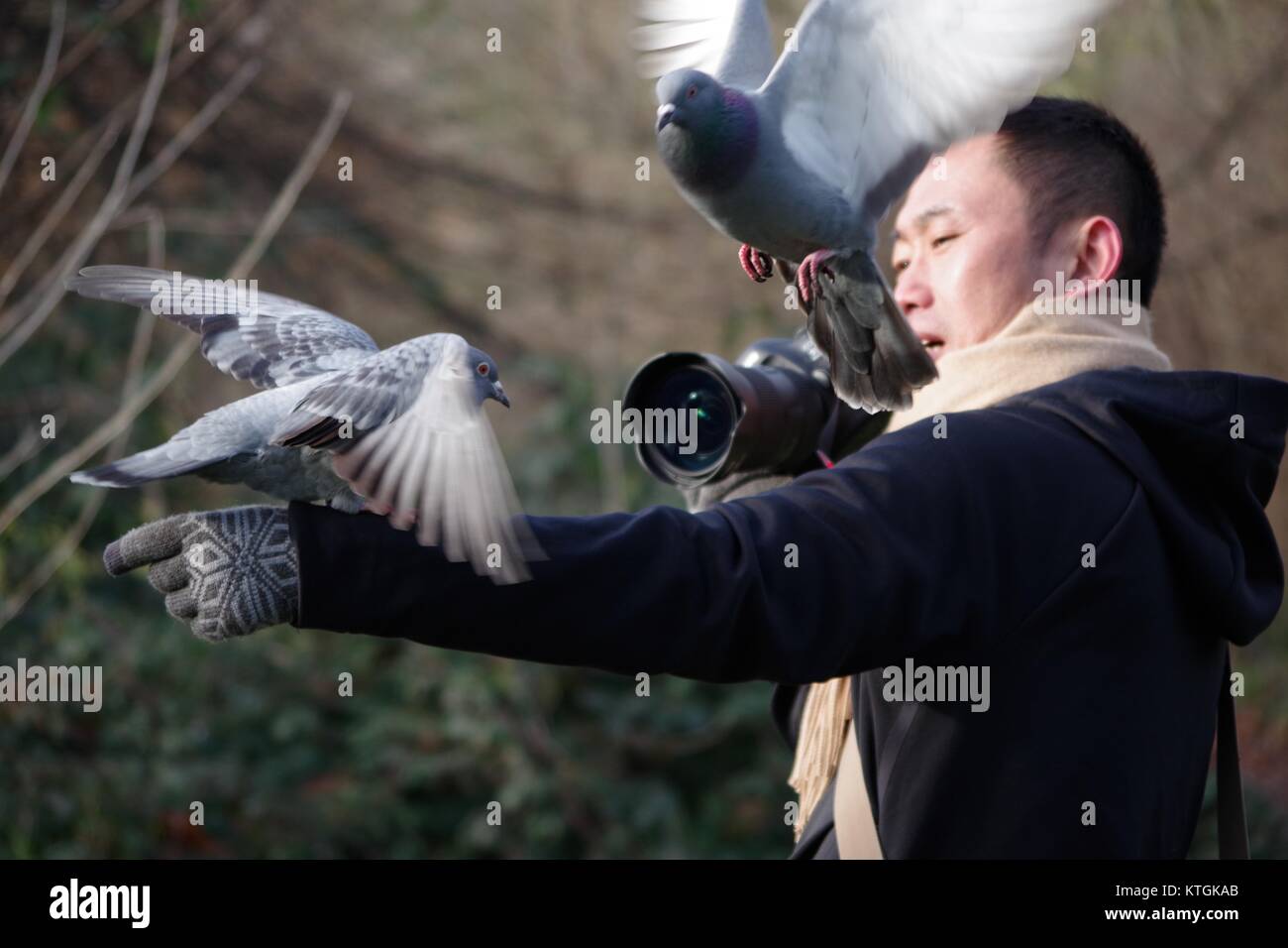 Human Pigeon High Resolution Stock Photography and Images - Alamy