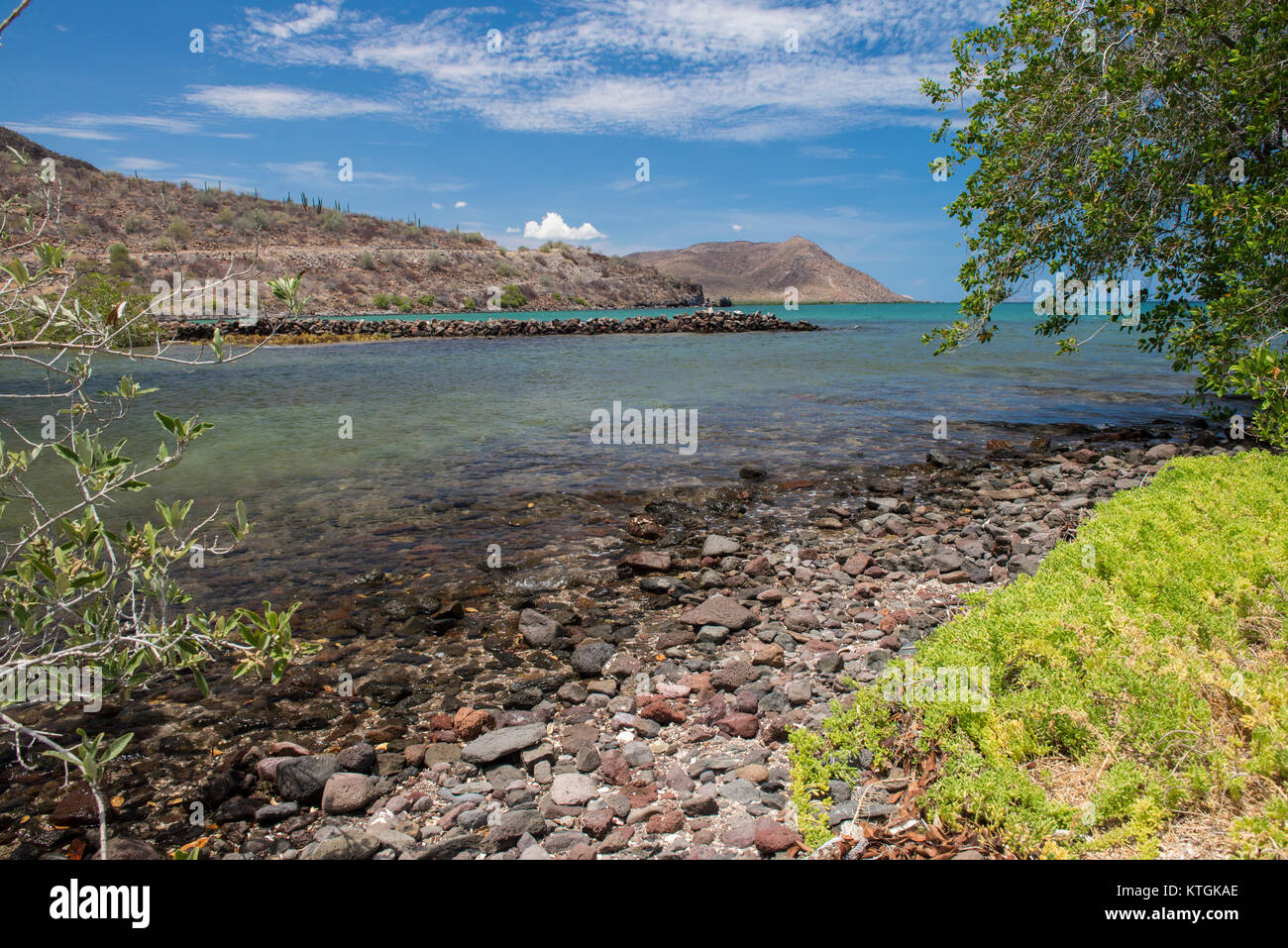 landscapes of bahia concepcion baja california sur mexico Stock Photo ...