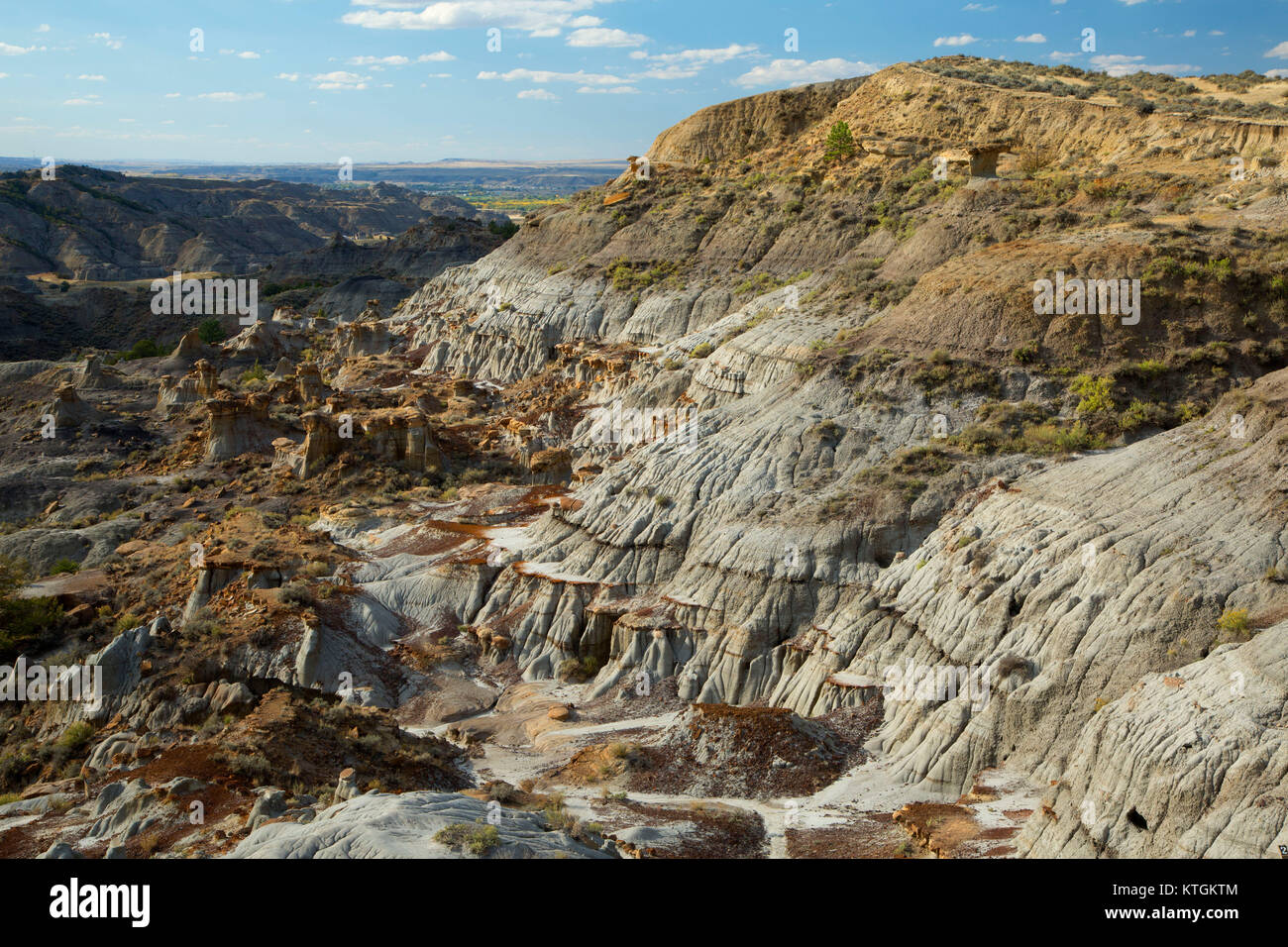 Badlands from Cap Rock Trail, Makoshika State Park, Montana Stock Photo ...