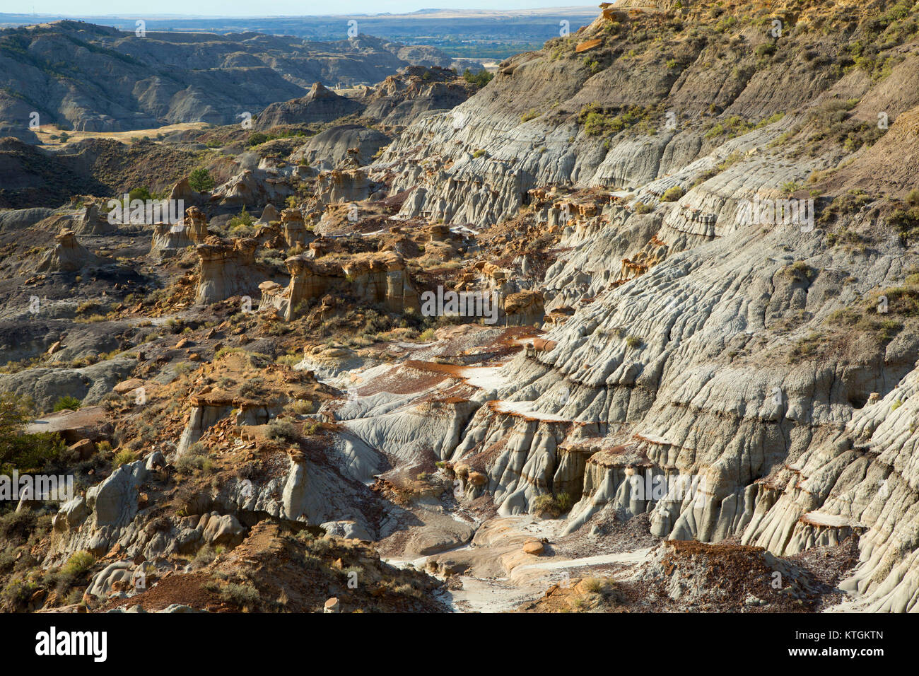 Badlands from Cap Rock Trail, Makoshika State Park, Montana Stock Photo ...