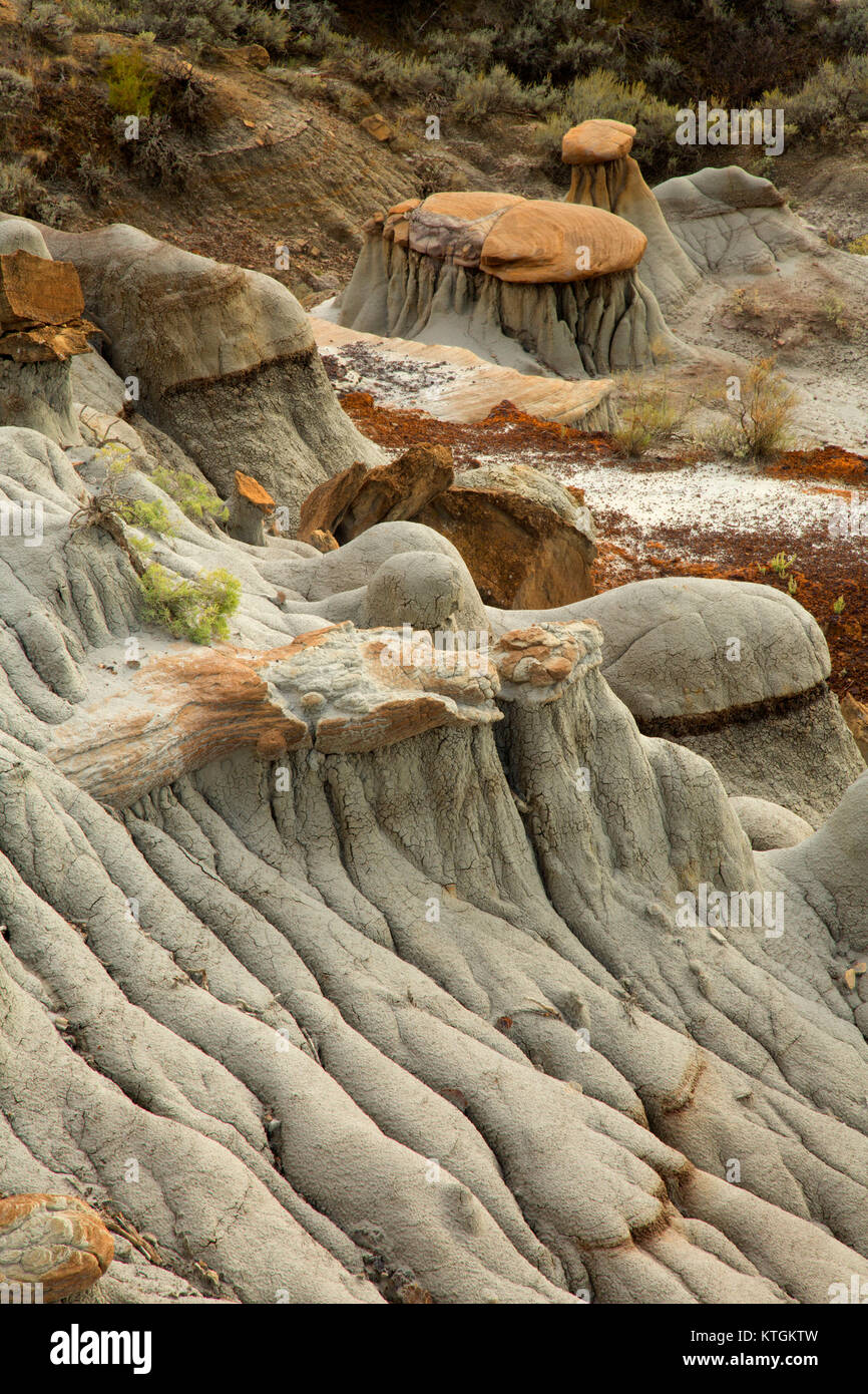 Badlands from Cap Rock Trail, Makoshika State Park, Montana Stock Photo ...