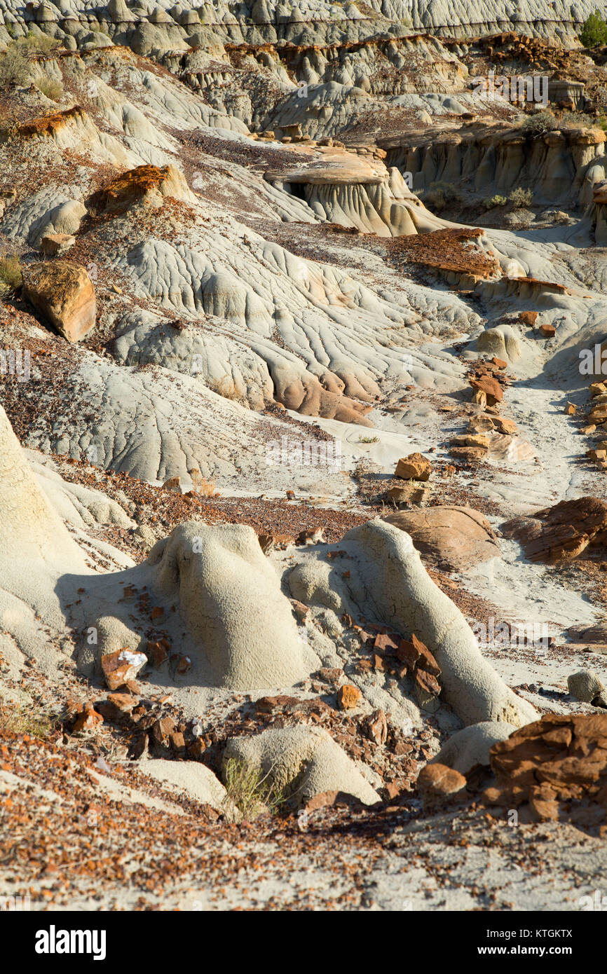 Badlands from Cap Rock Trail, Makoshika State Park, Montana Stock Photo ...