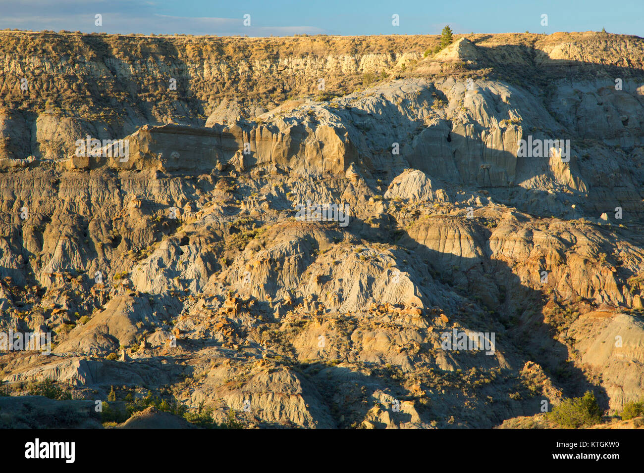 Badlands from Twin Sisters Trail, Makoshika State Park, Montana Stock ...