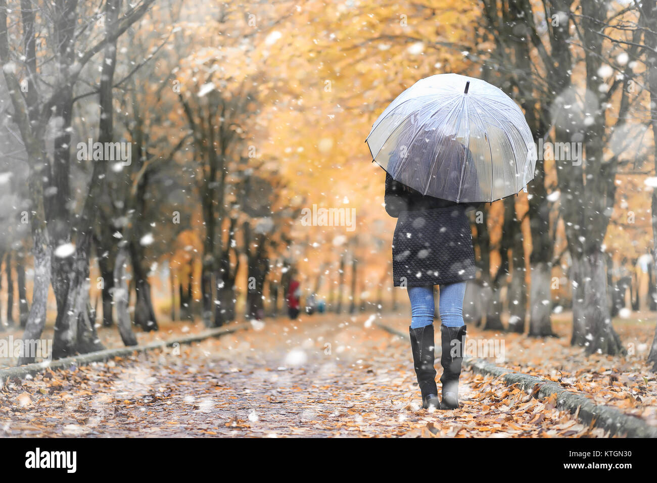 A young girl in the park on a walk in the first snowfall Stock Photo ...