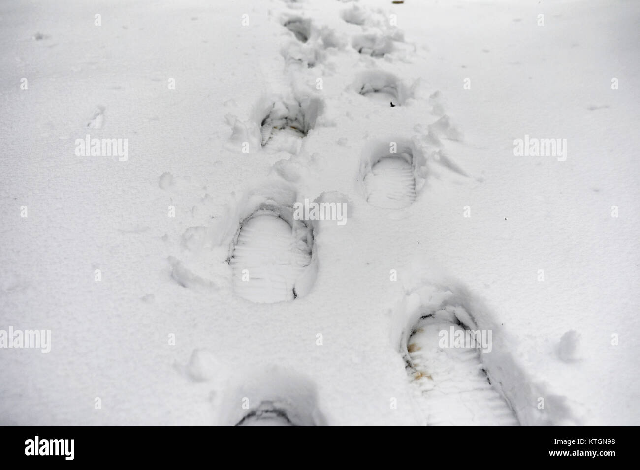 Footprints in the snow. Footprints on the first snow. Imprint of shoes ...