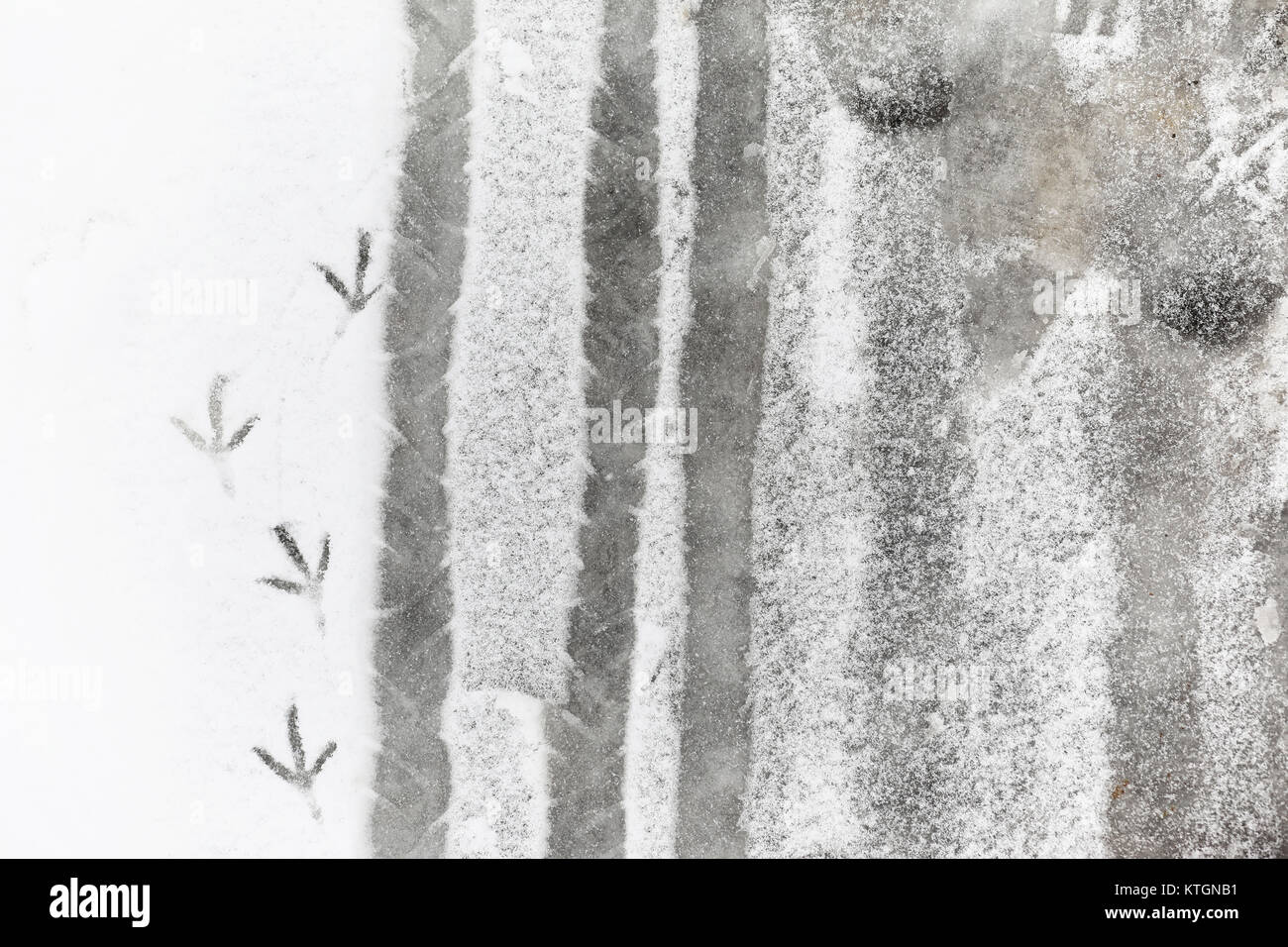 Footprints in the snow. Footprints on the first snow. Imprint of shoes ...