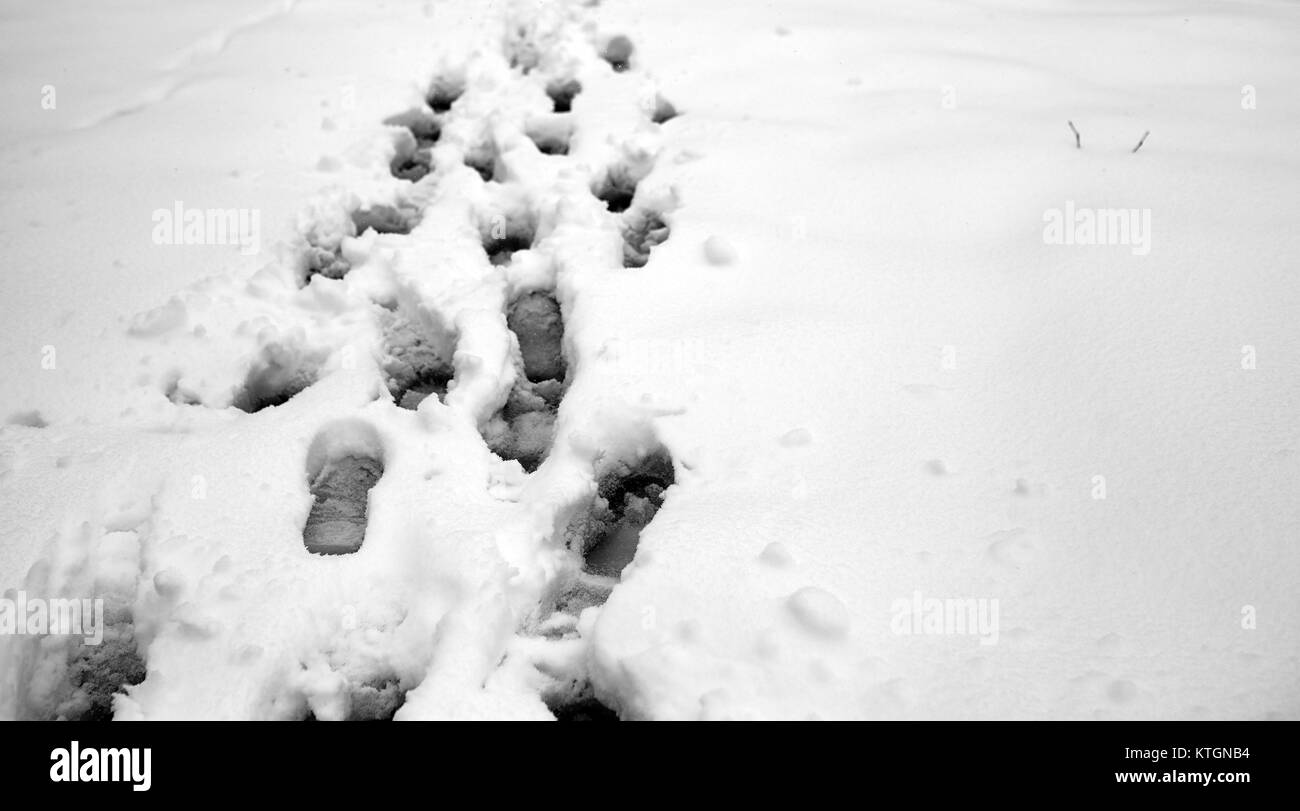 Footprints in the snow. Footprints on the first snow. Imprint of shoes ...