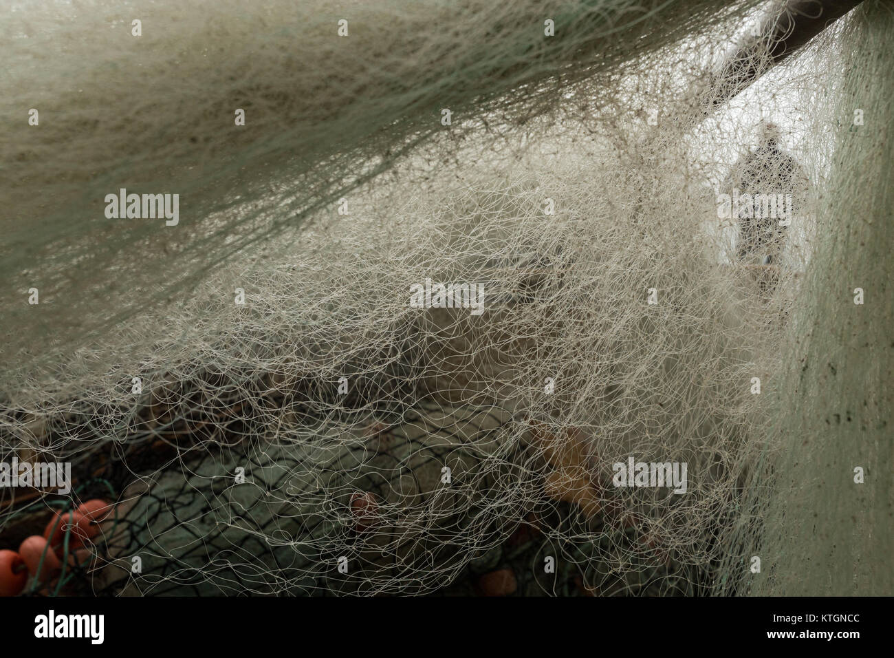 Through nets hi-res stock photography and images - Alamy