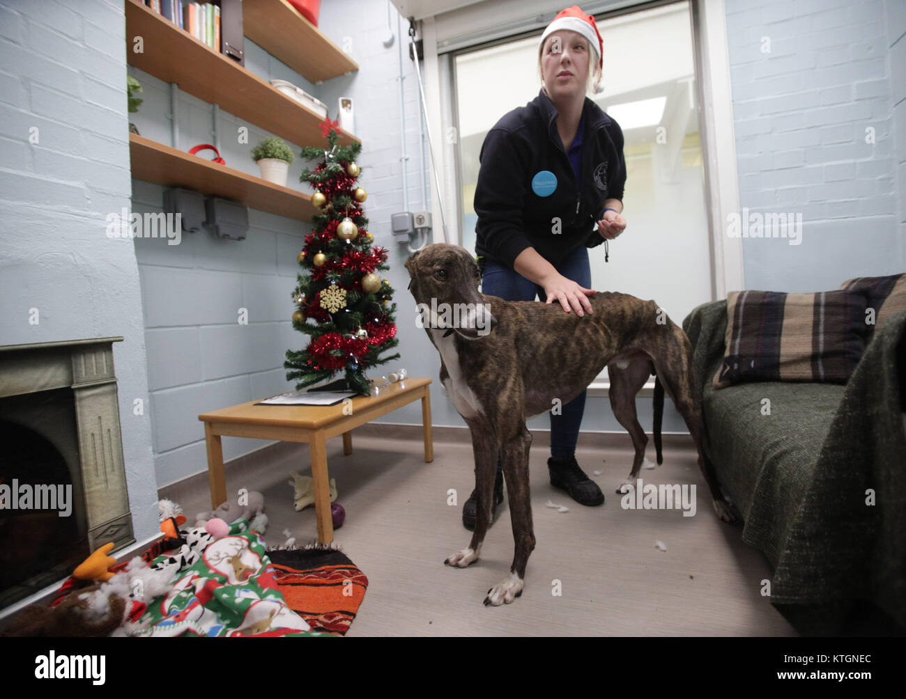 Becky Fisher, rehoming and welfare manager at Battersea Dogs & Cats ...