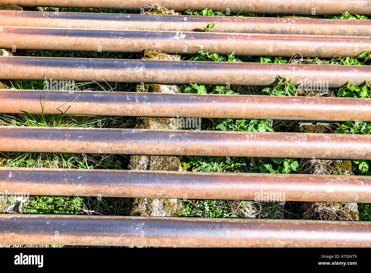 A cattle grid preventing animals from leaving a field in Scotland Stock ...