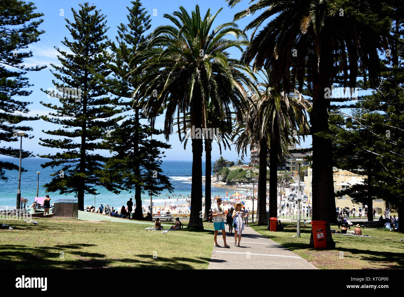 View of the water and beach at North Cronulla Stock Photo - Alamy