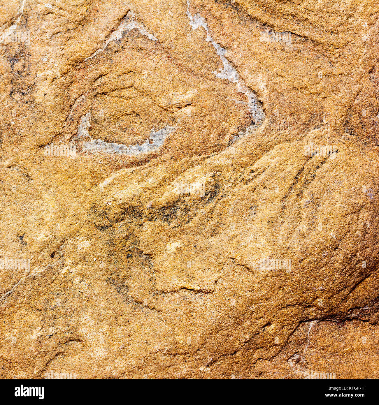 Light brown stone texture of the flagstone Stock Photo - Alamy