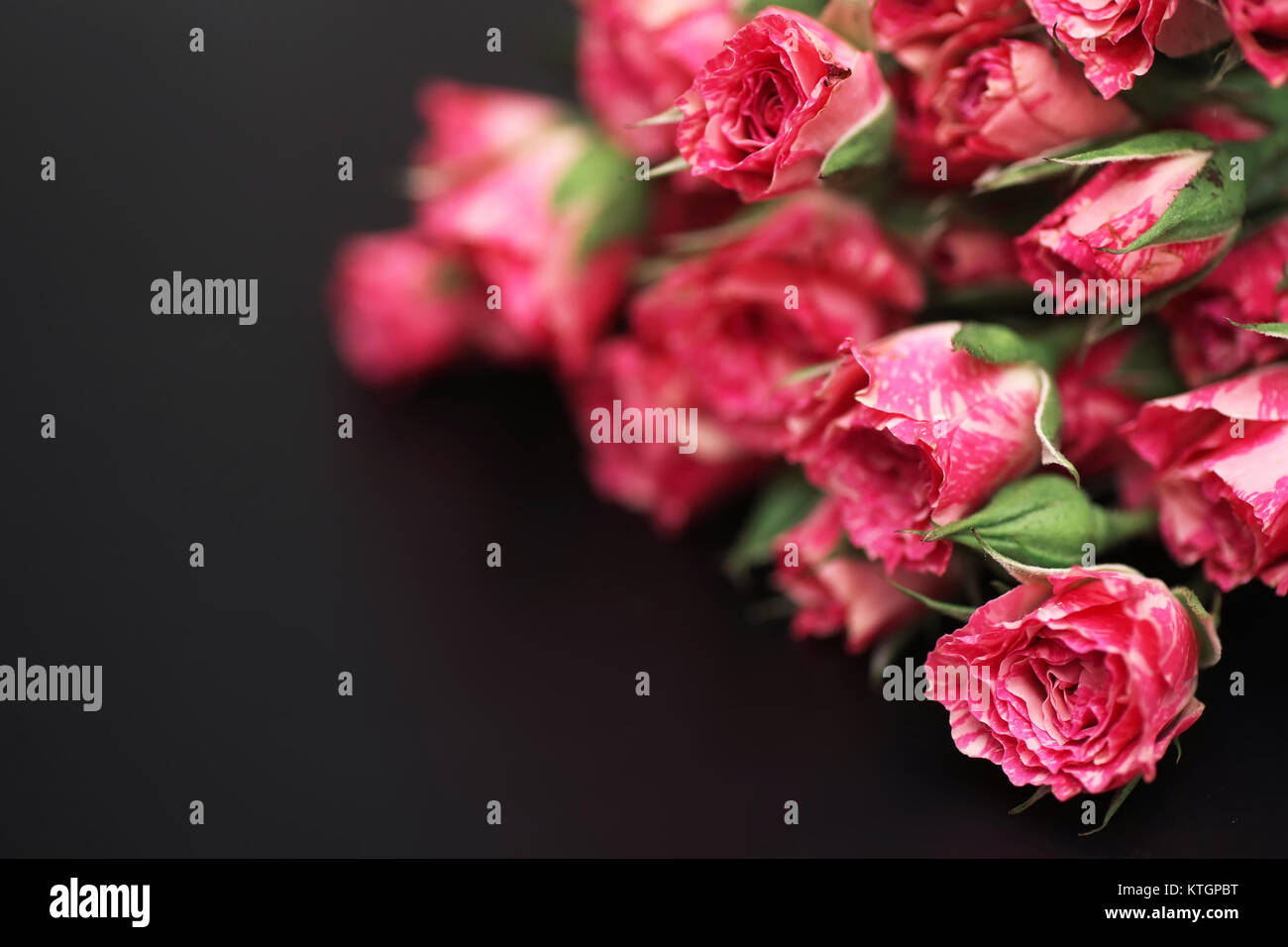 Bouquet of red roses on black matte background Stock Photo - Alamy