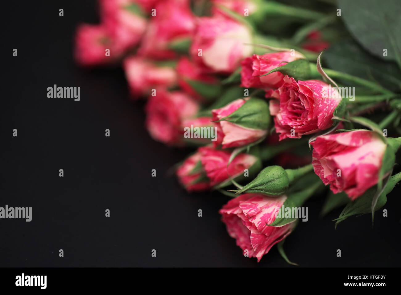 Bouquet of red roses on black matte background Stock Photo - Alamy