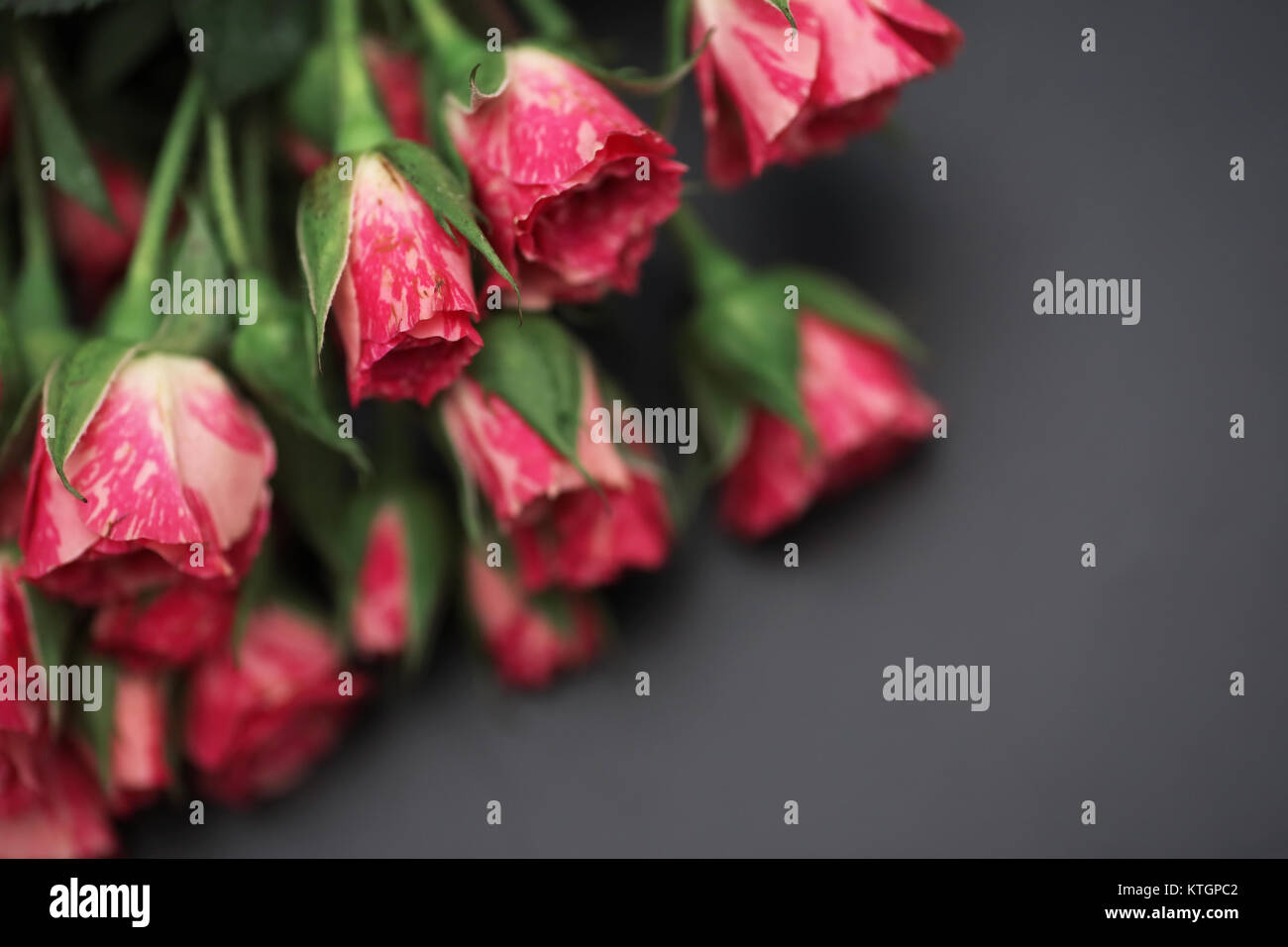 Bouquet of red roses on black matte background Stock Photo - Alamy