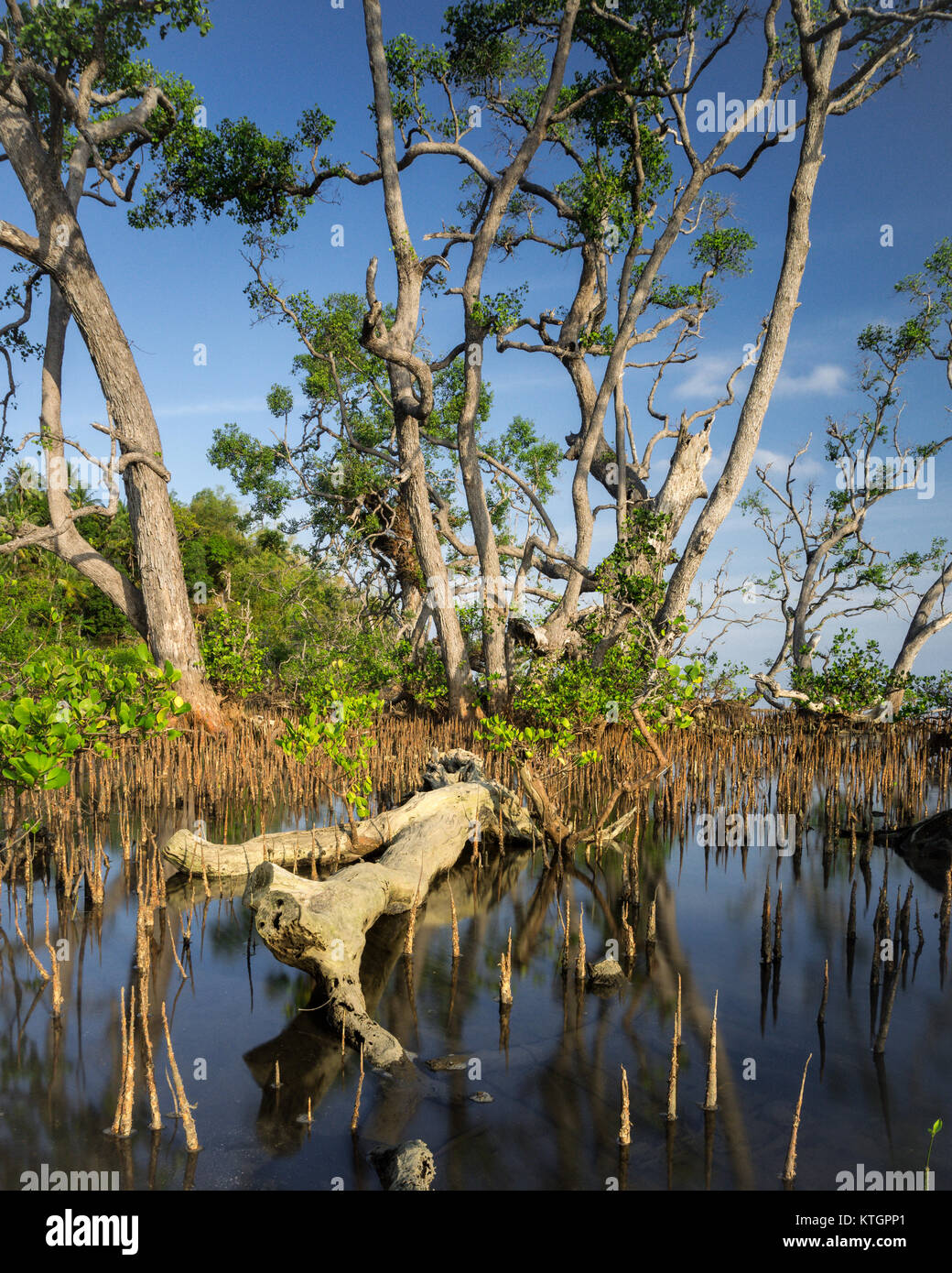 Bawean gresik hi-res stock photography and images - Alamy