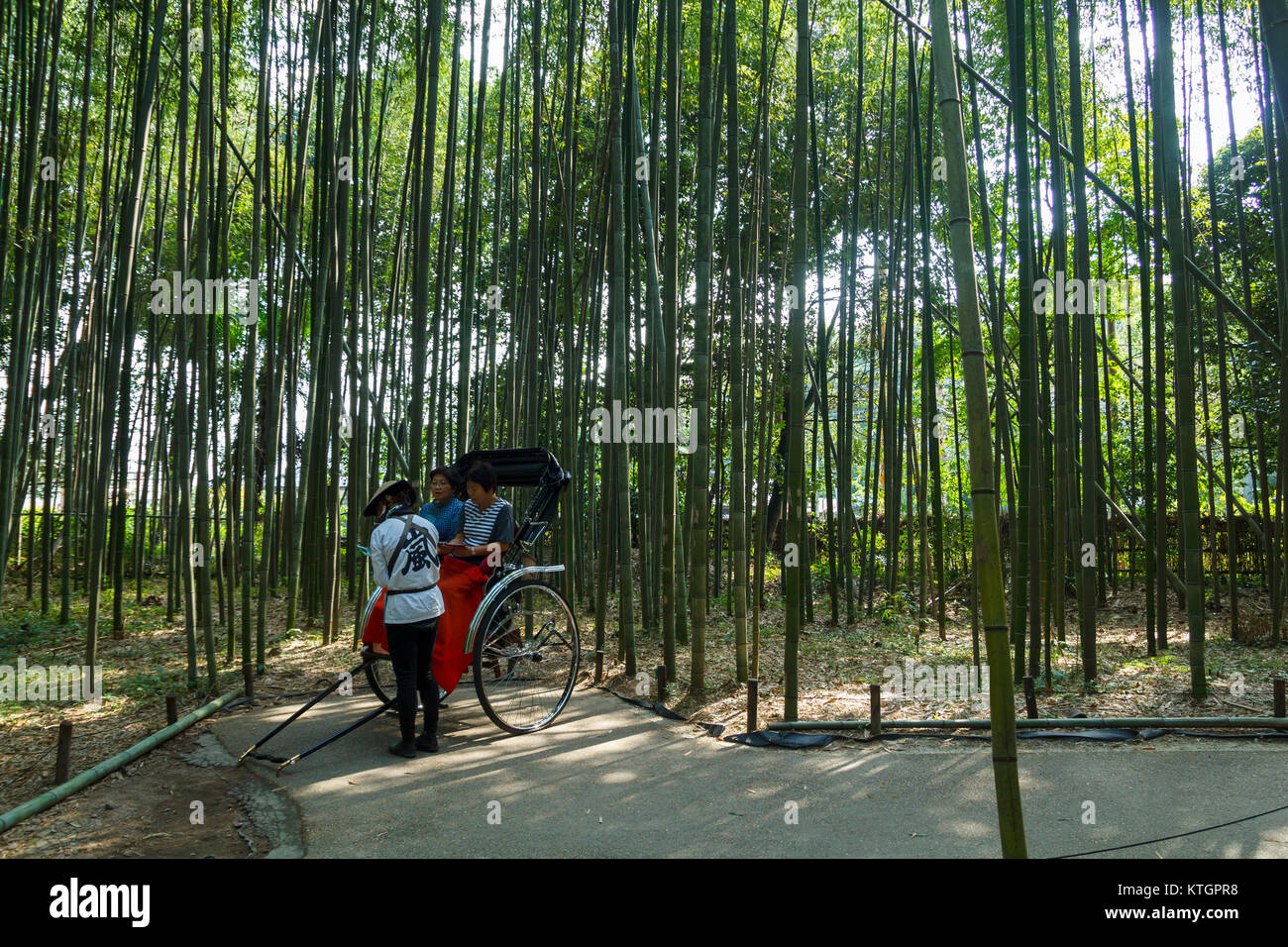 Japanese couple ready for a carriage walk at the bamboo forest at ...