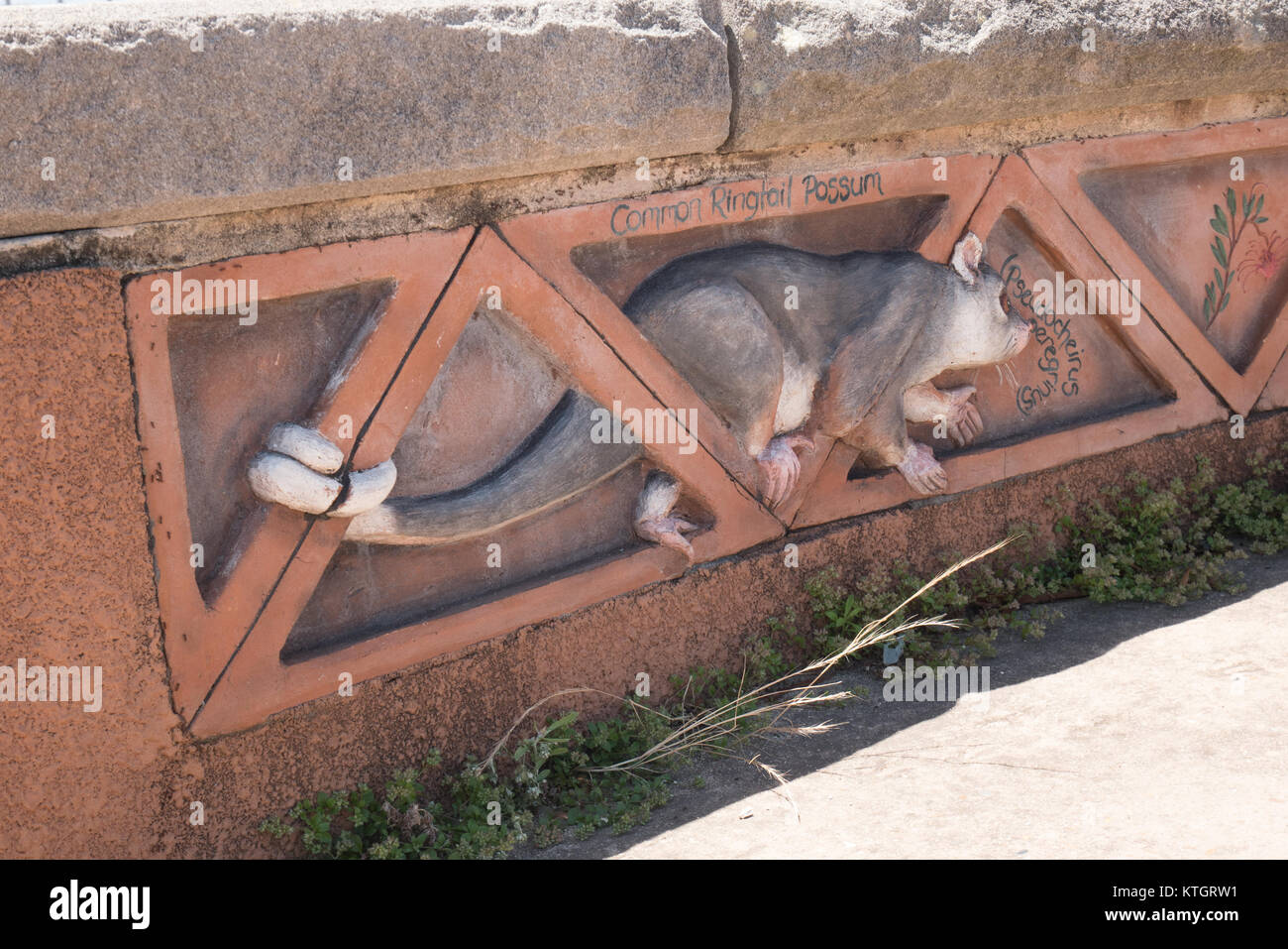 arabanoo outlook point in sydney Stock Photo - Alamy