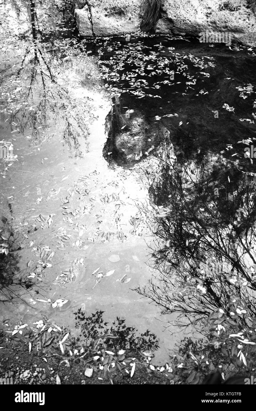 The *AZ Sycamore Canyon* is a ship depicted in this image. It was one ...