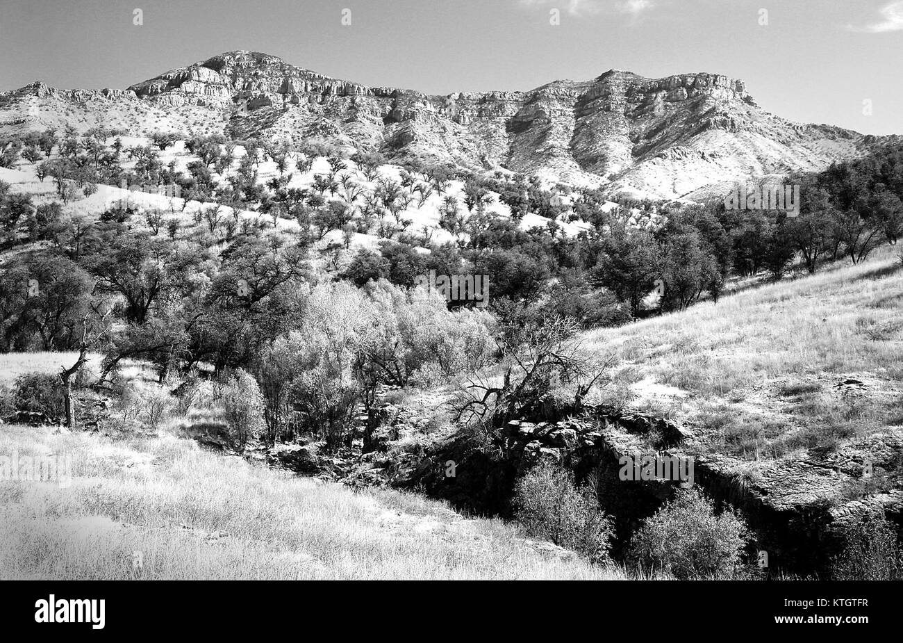 AZ Sycamore Canyon is a scenic area in Arizona, known for its natural ...