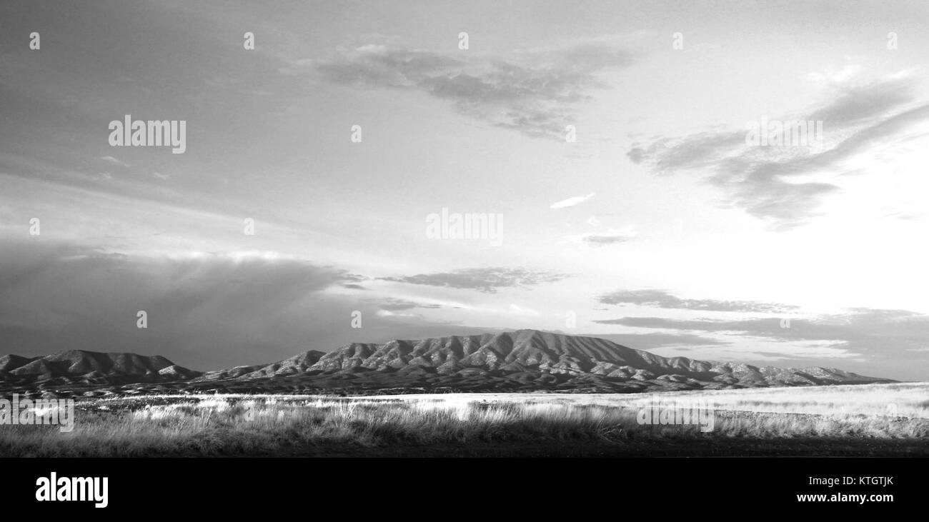 The image captures the vast, open grasslands of the San Rafael Valley ...