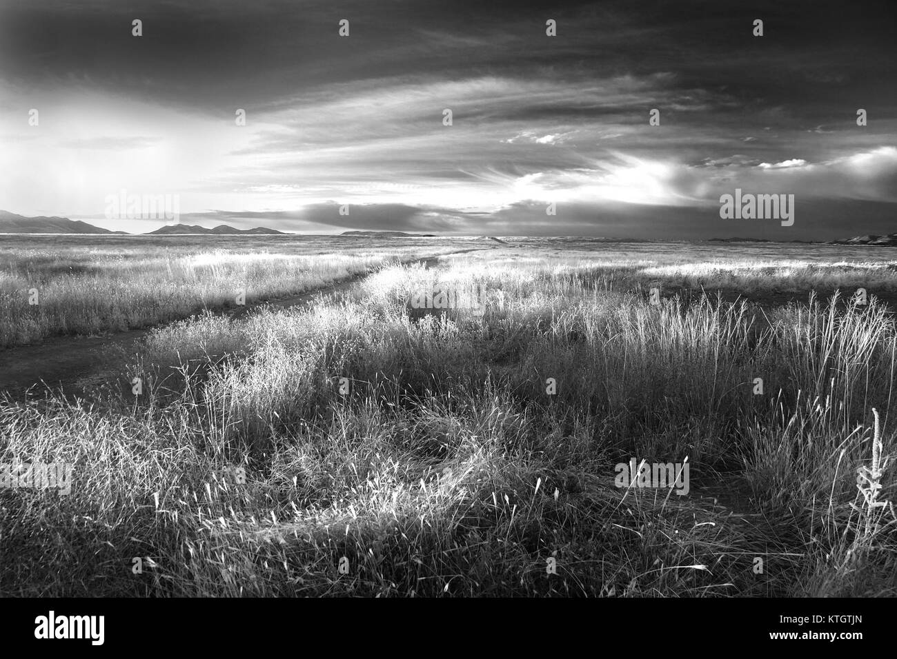 AZ San Rafael Valley Grasslands are located southeast of Patagonia ...
