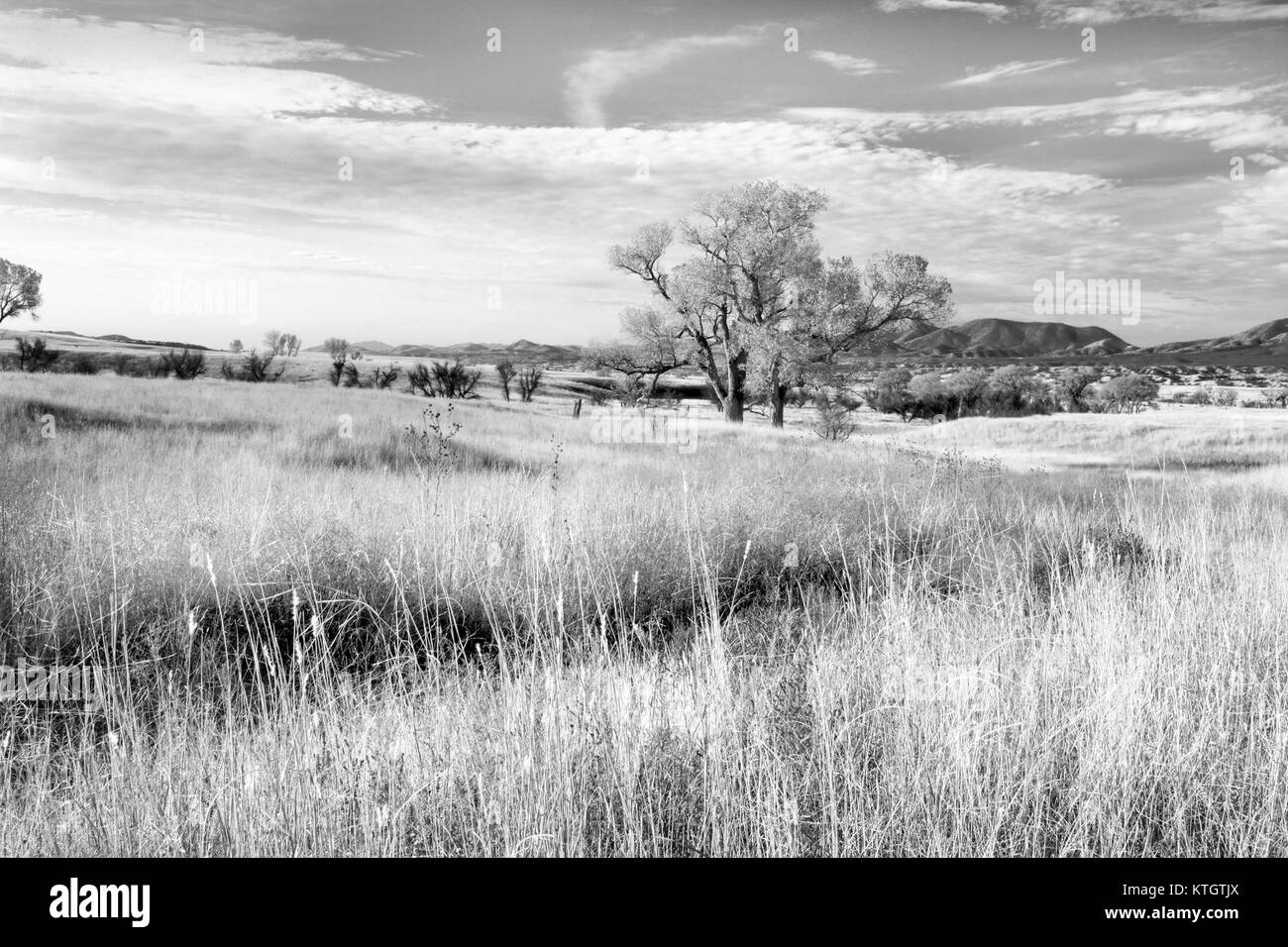 This photograph captures the expansive grasslands of the San Rafael ...