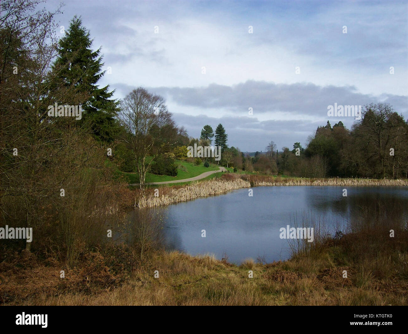 Bedgebury Pinetum, in Kent, England, is a large collection of ...