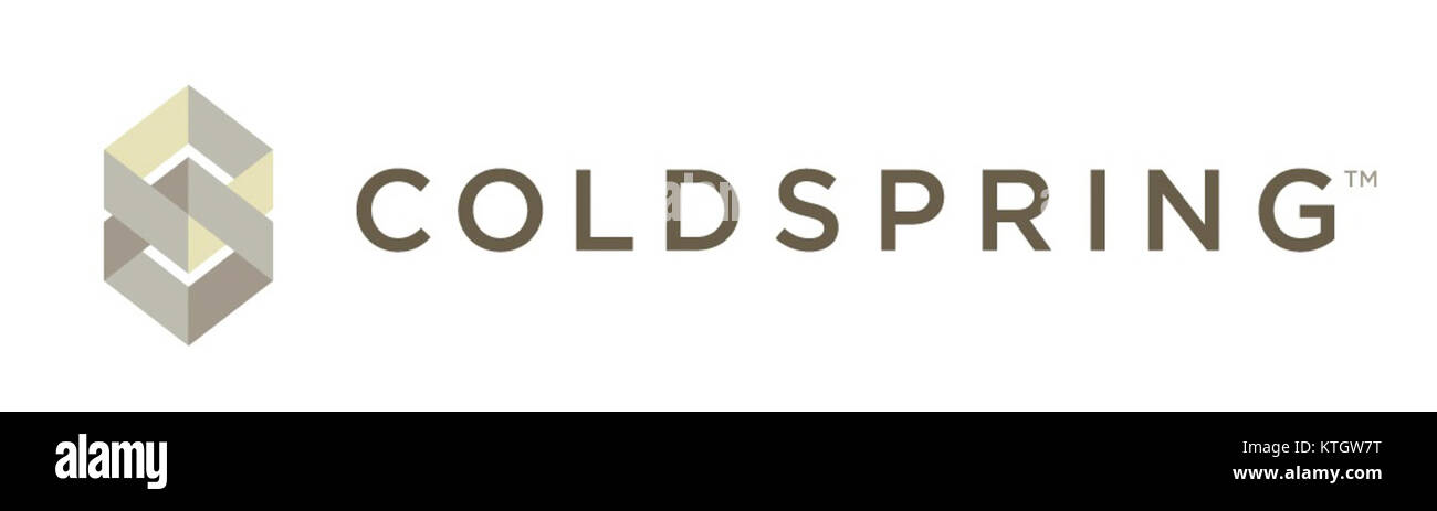 The CSG Logo Corp Horizontal logo is a visual representation of the ...