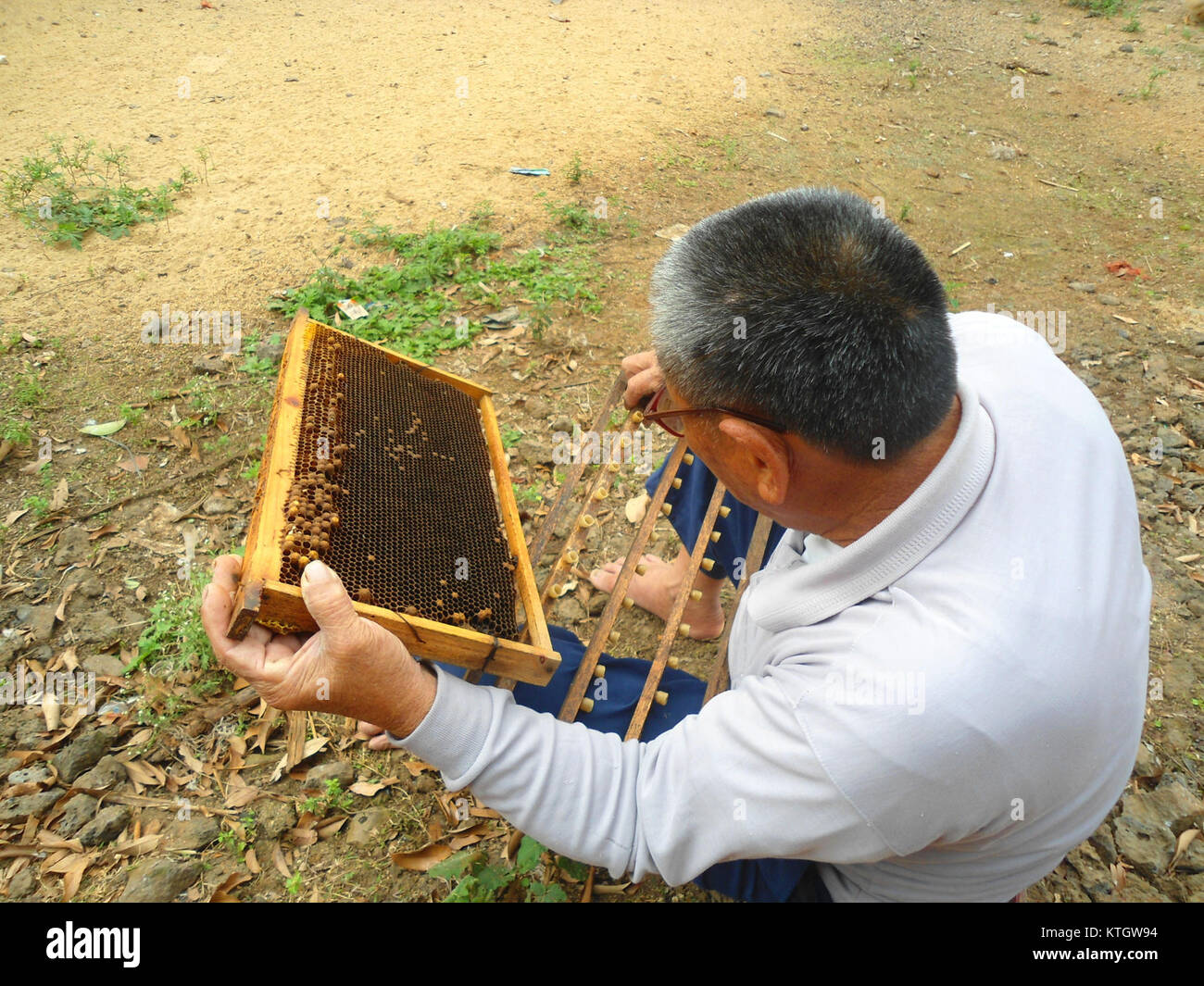 Beekeeping history hi-res stock photography and images - Alamy