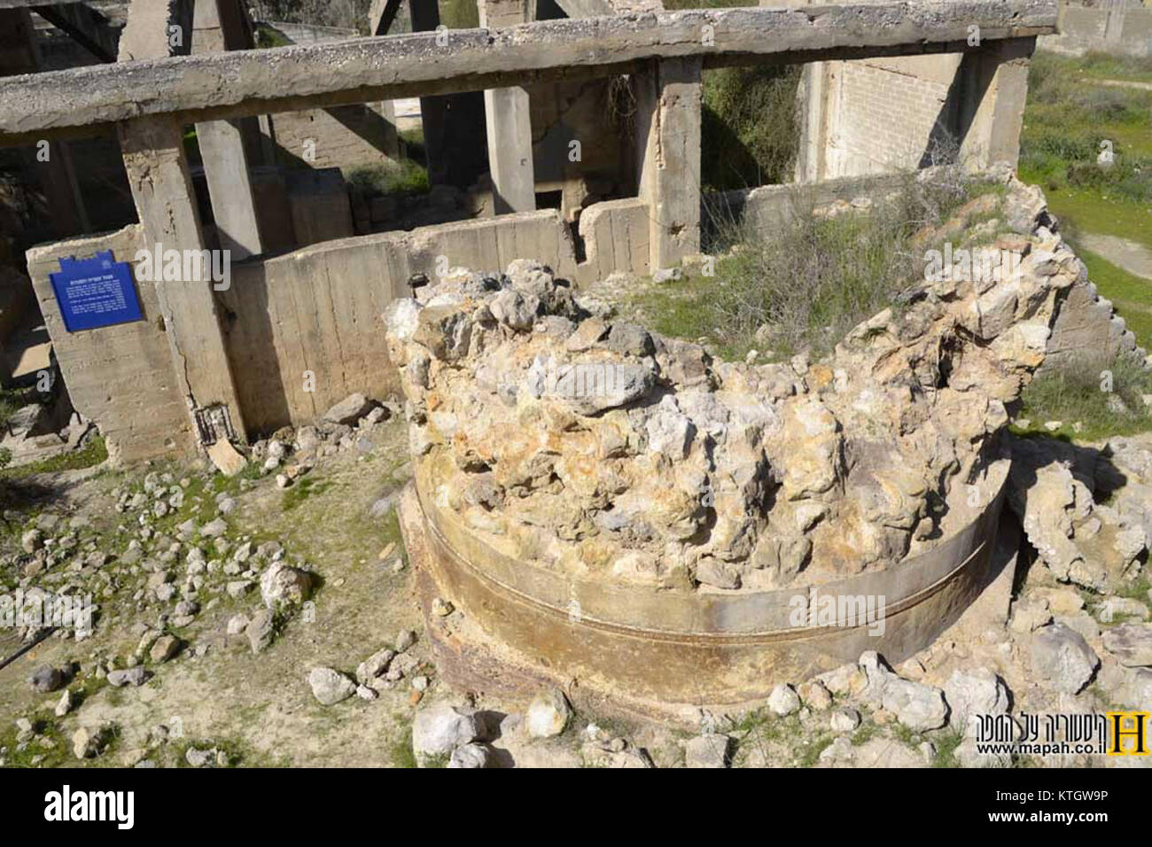 Welsh forest exploration hi-res stock photography and images - Alamy