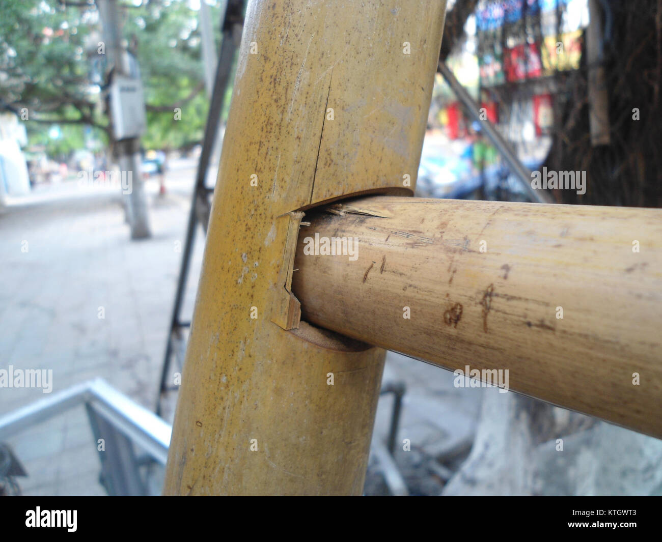 A bamboo ladder from Hainan, China, is featured in this image. Bamboo ...
