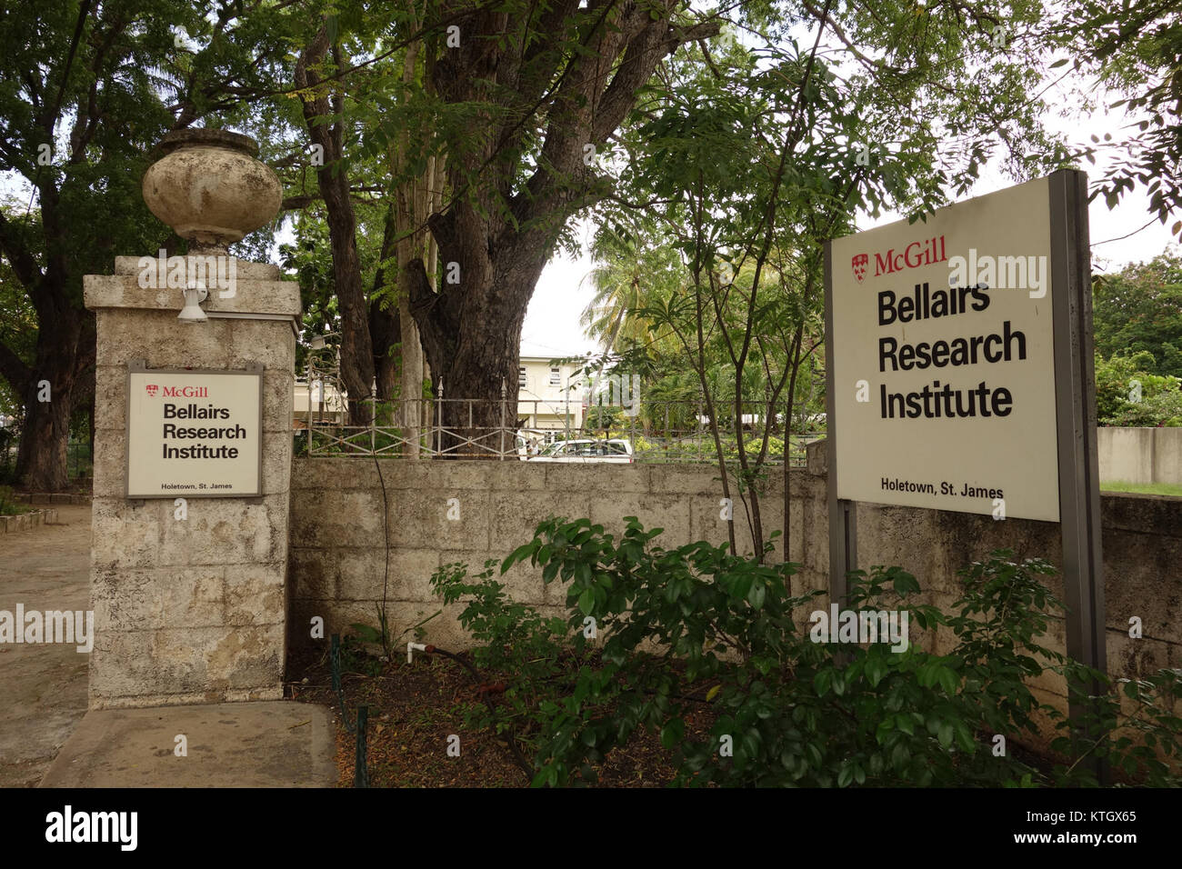 Bellairs Research Institute is a research facility in Barbados, known ...