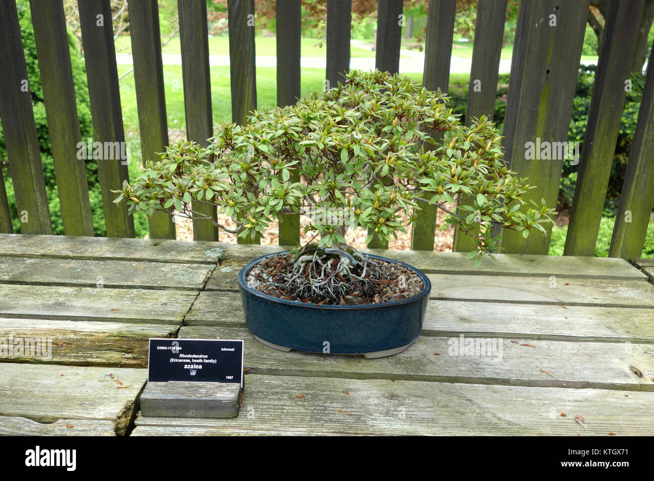 Arboretum dawes hi-res stock photography and images - Alamy