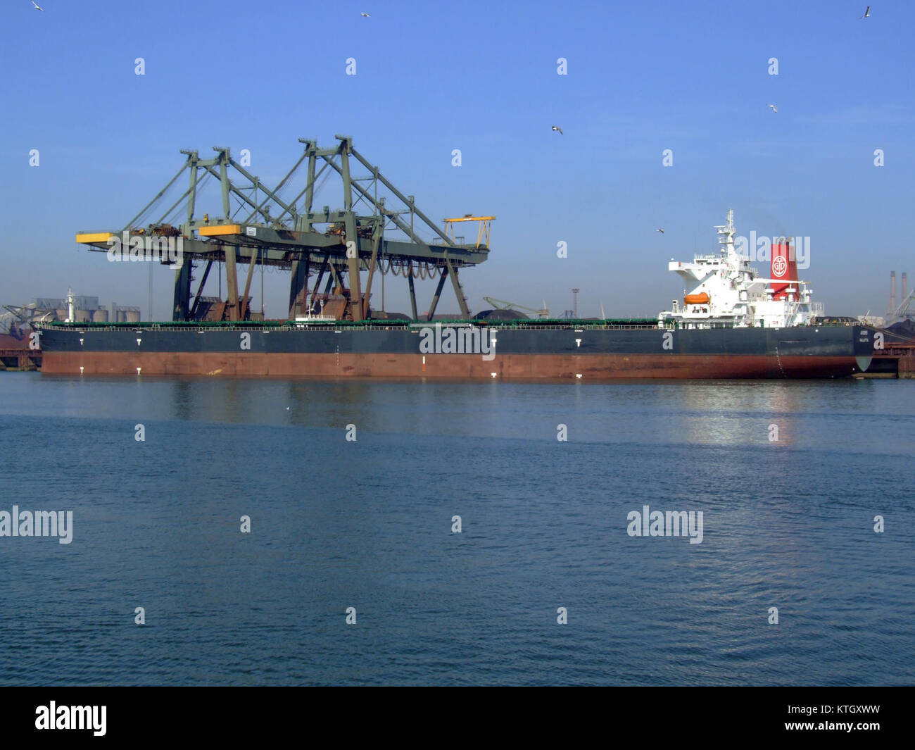 Avore IMO 9339181 refers to a vessel identified by its IMO number ...