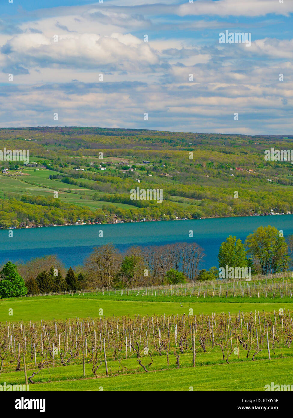 Glenora Wine Cellars, Finger Lakes, Dundee, New York, USA Stock Photo ...