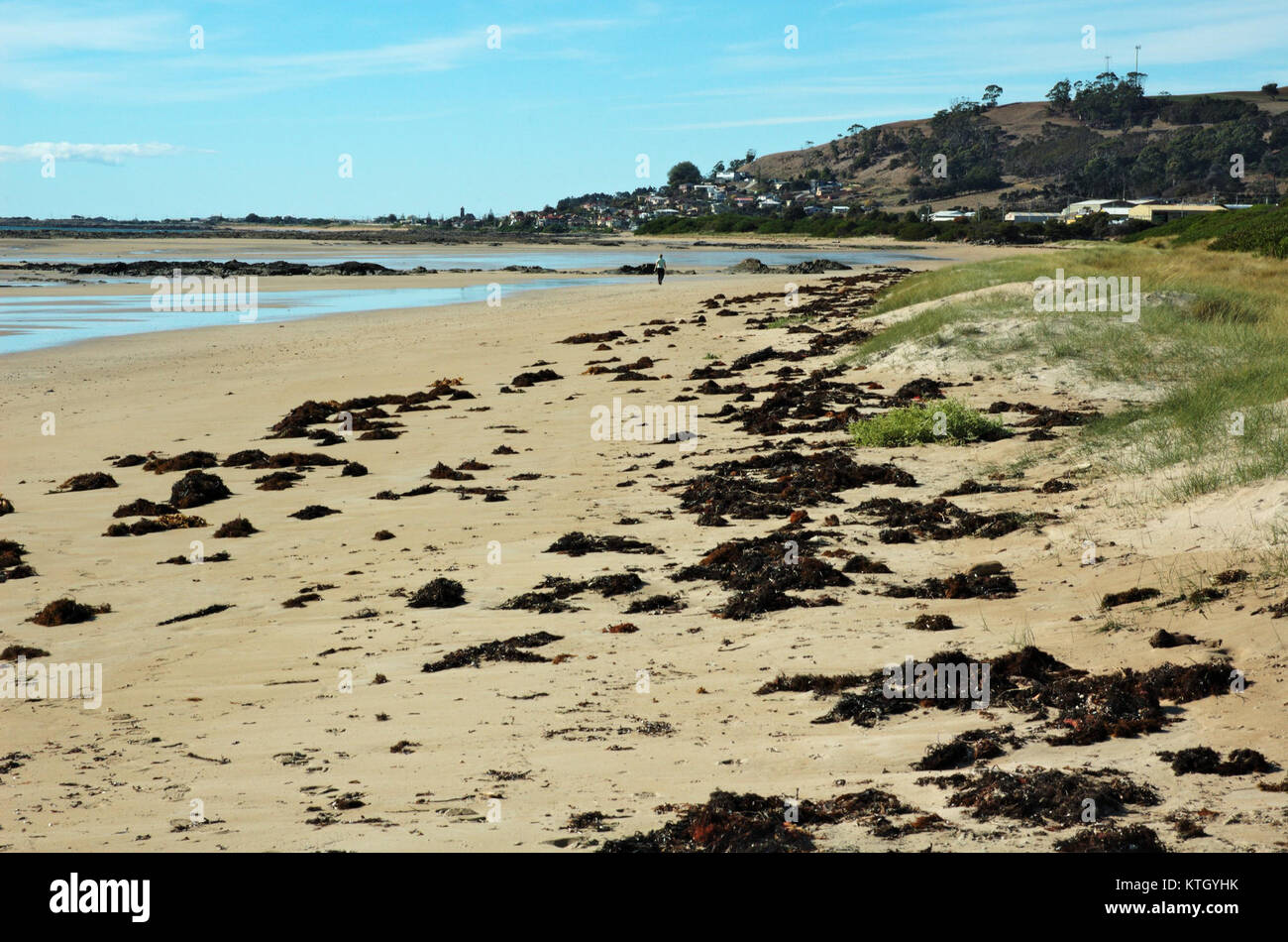 The photograph from April 23, 2007, captures a beach in Somerset ...
