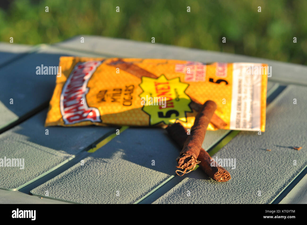 The appearance of the tobacco leaf hi-res stock photography and images ...