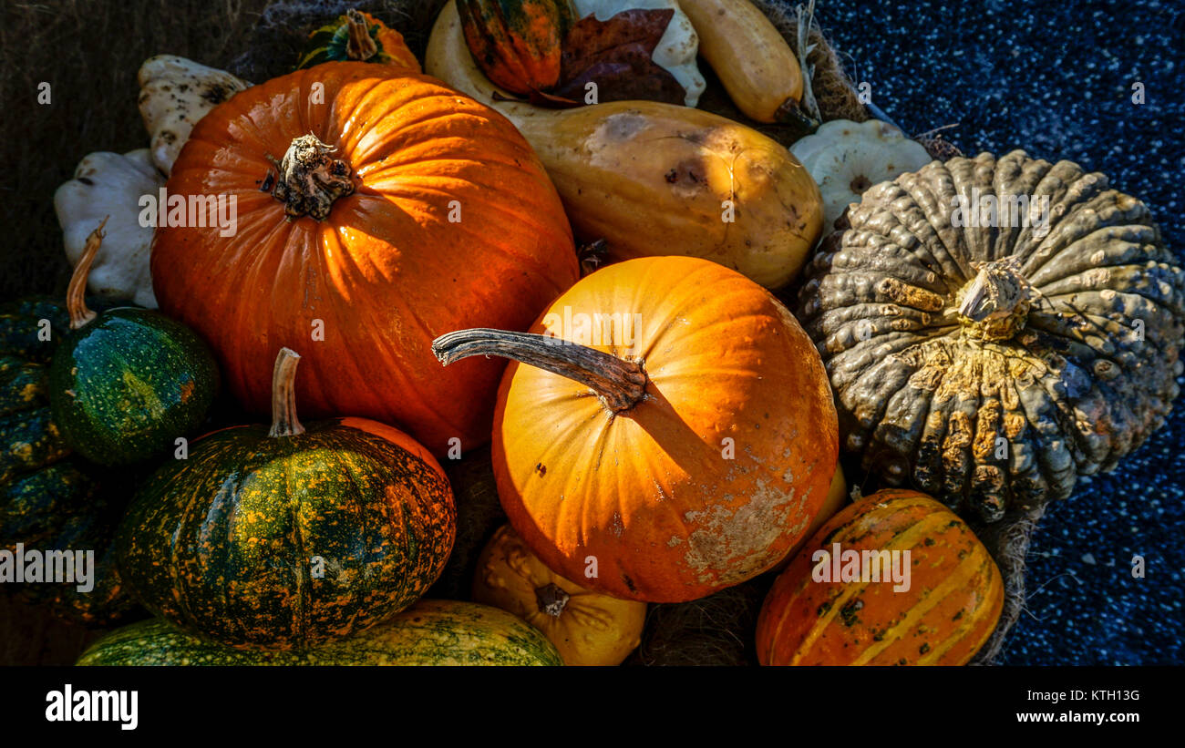 Organic orange pie pumpkins hi-res stock photography and images - Alamy