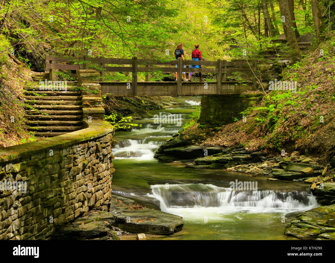 Gorge Trail, Filmore Glen State Park, Finger Lakes, Moravia, New York ...